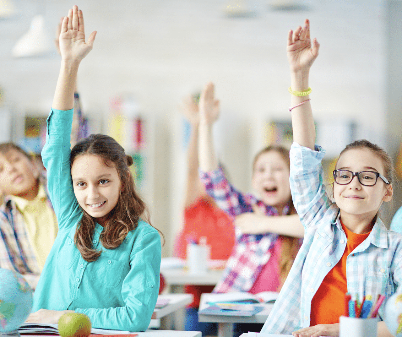 Mitybilt: quality and excellence for schools!